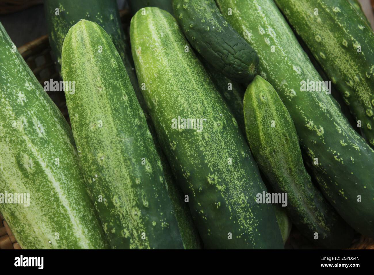 Cucumbers for Sale at Farmers Market Stock Photo - Alamy
