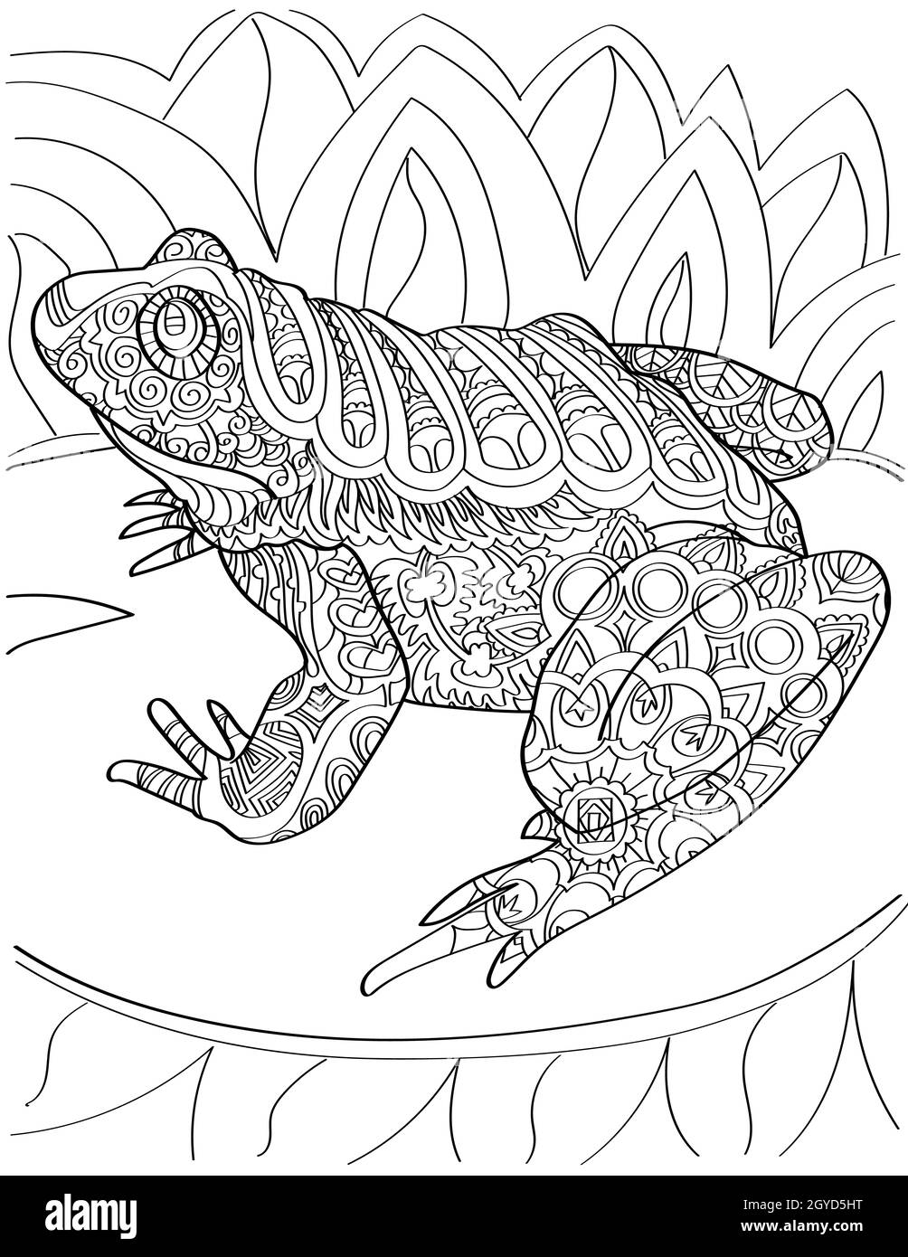 Large Toad On A Water Lily Looking Sideward Colorless Line Drawing ...