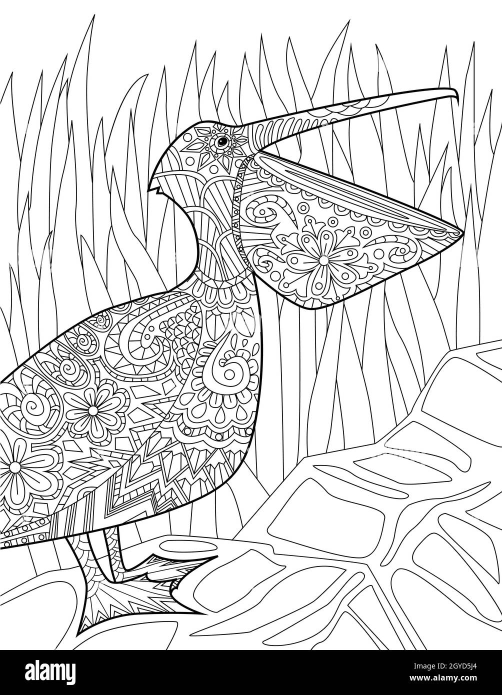 Large Pelican Standing Opened Beak Tall Grass Background Line Drawing ...