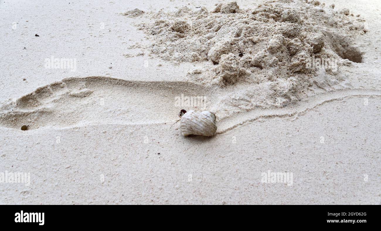 Beautiful shots of the white beach sand on the Seychelles paradise ...