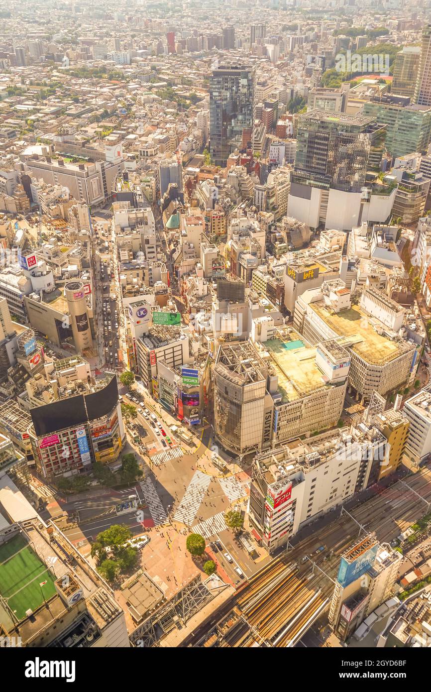Shibuya scramble intersection (taken from Shibuya Sky). Shooting Location: Tokyo metropolitan ...