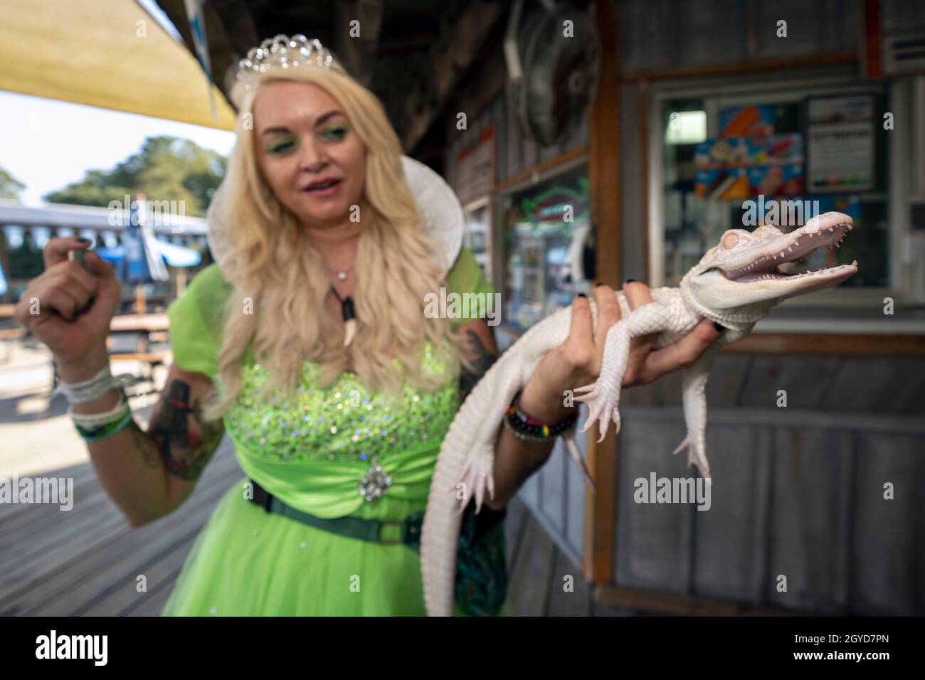 Savannah boan hi-res stock photography and images - Alamy