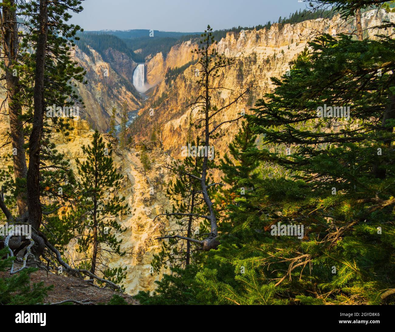 view from Artist Point of the Grand Canyon of the Yellowstone River ...