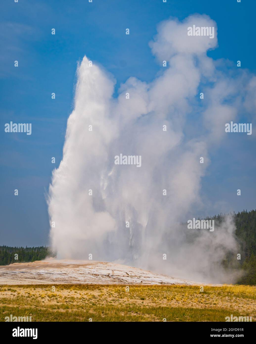 Yellowstone park volcano eruption hi-res stock photography and images ...
