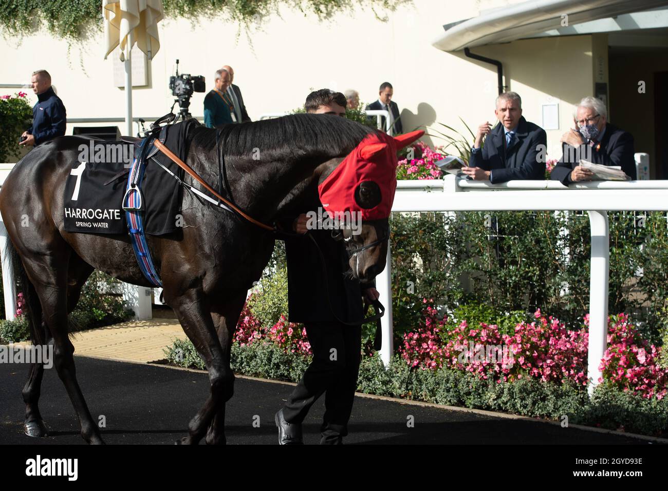 Ascot, Berkshire, UK. 1st October, 2021. Horse Chalk Stream in the ...