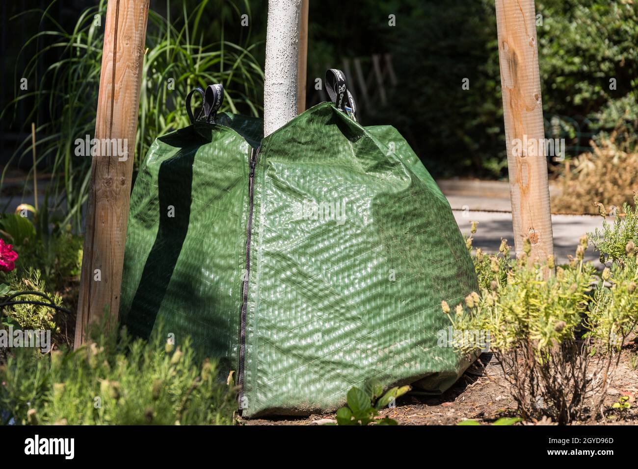 Water sack hi-res stock photography and images - Alamy