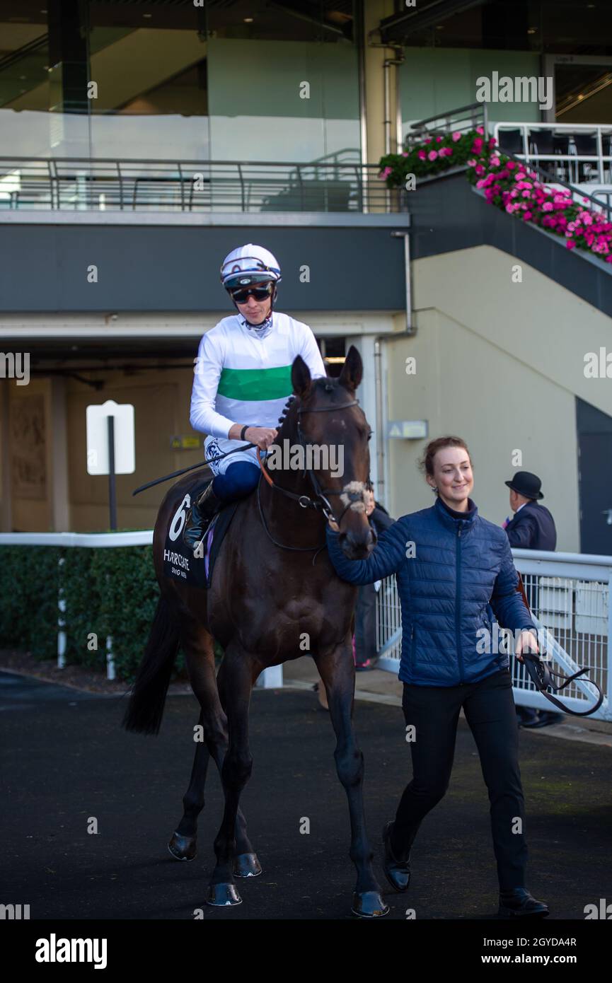 Ascot, Berkshire, UK. 1st October, 2021. Jockey David Probert on horse ...
