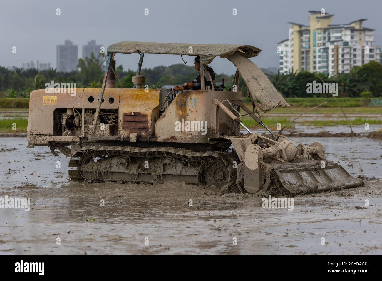 Kota Kinabalu, Sabah, Malaysia-May 25, 2021 : Local Rural lifestyle ...