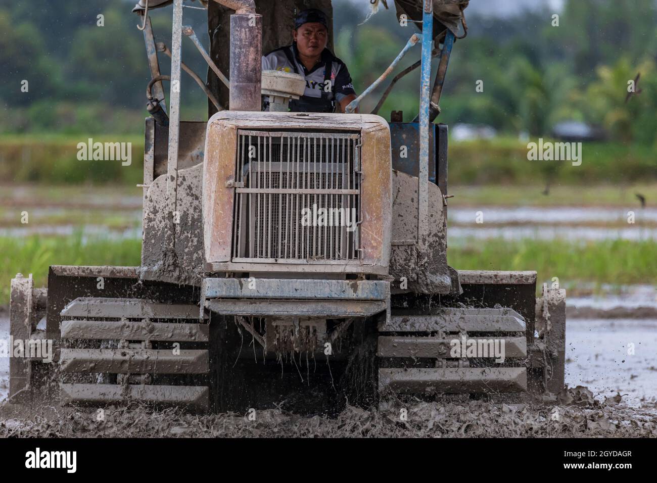 Kota Kinabalu, Sabah, Malaysia-May 25, 2021 : Local Rural lifestyle ...