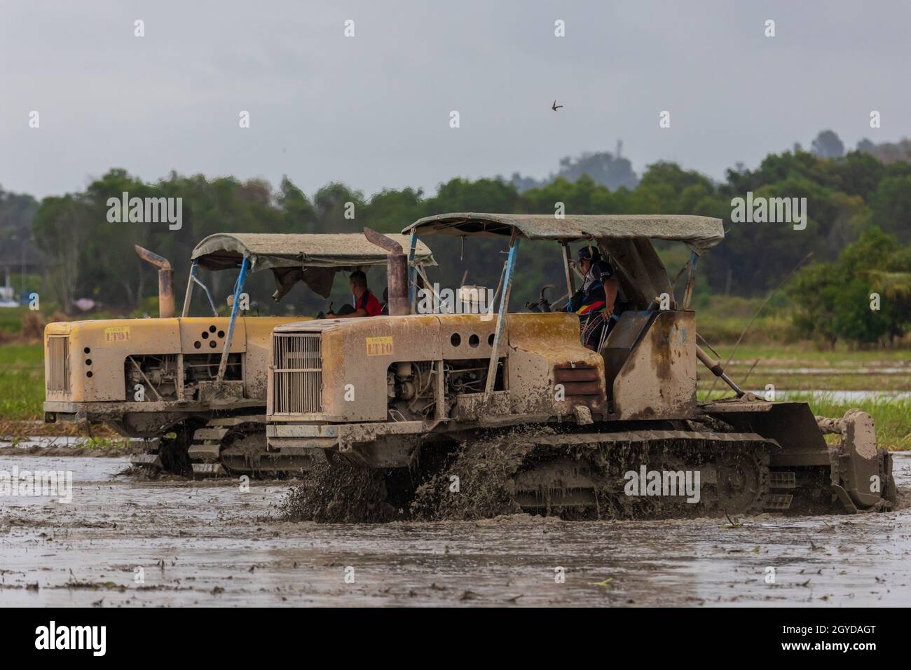 Kota Kinabalu, Sabah, Malaysia-May 25, 2021 : Local Rural lifestyle ...
