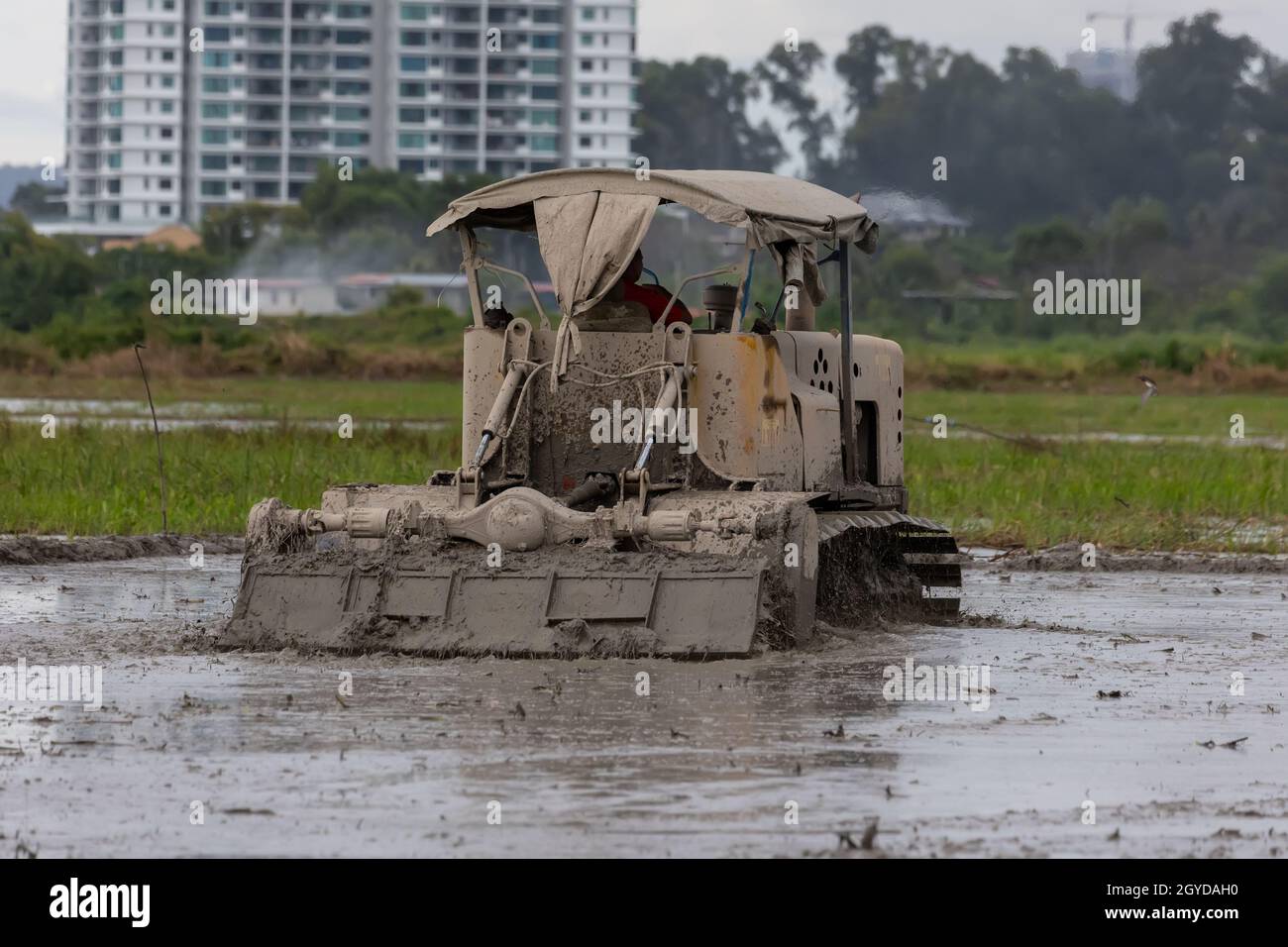 Kota Kinabalu, Sabah, Malaysia-May 25, 2021 : Local Rural lifestyle ...