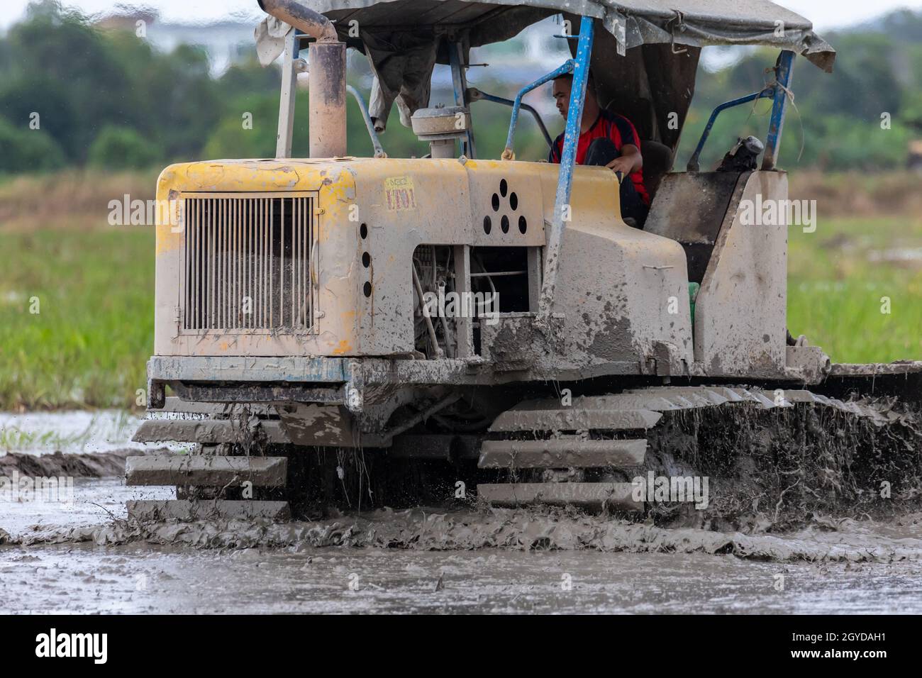 Kota Kinabalu, Sabah, Malaysia-May 25, 2021 : Local Rural lifestyle ...