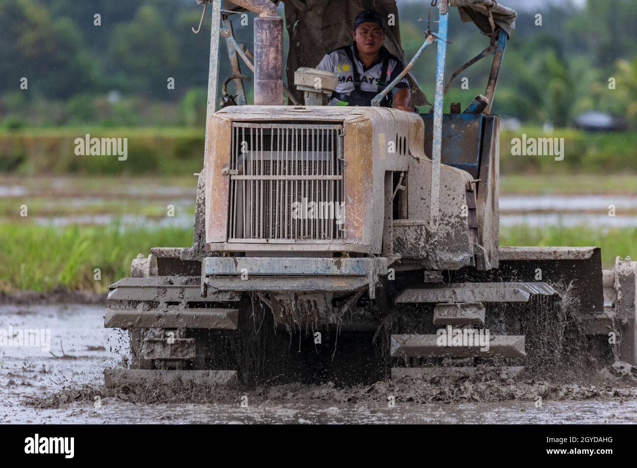 Kota Kinabalu, Sabah, Malaysia-May 25, 2021 : Local Rural lifestyle ...