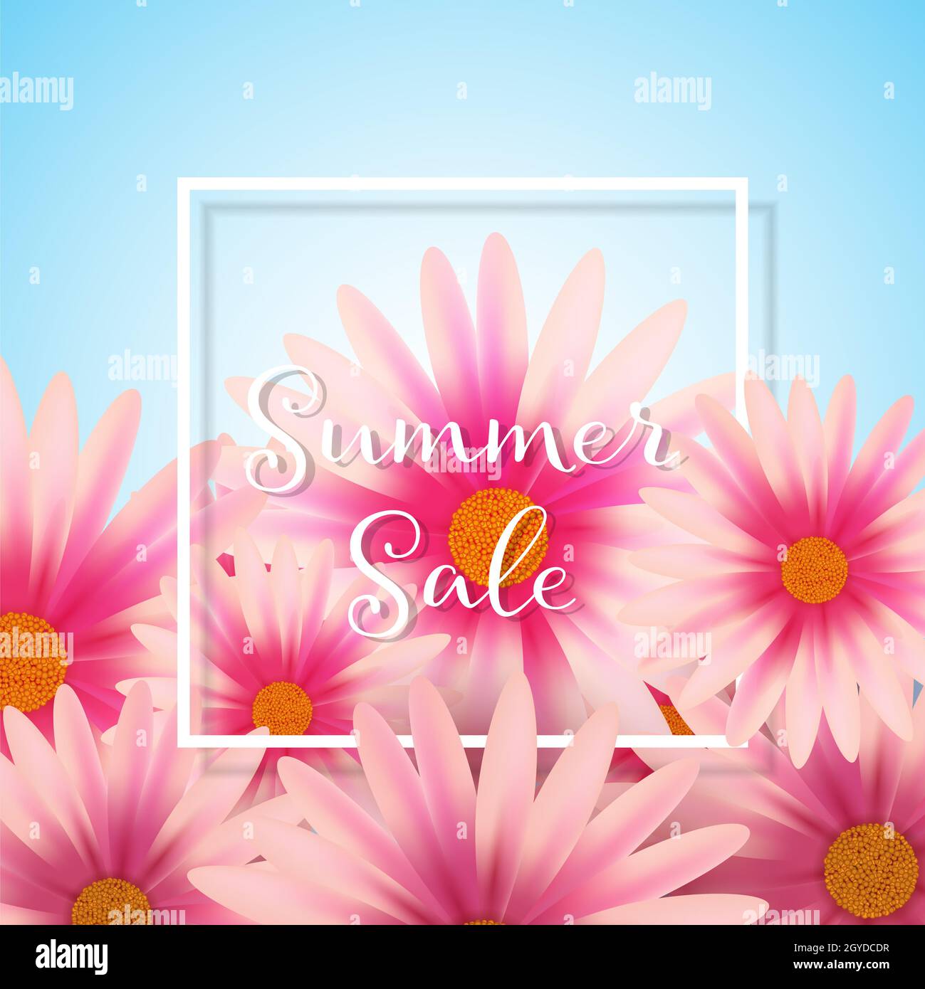 Daisy flower background with summer sale in white border Stock Photo ...