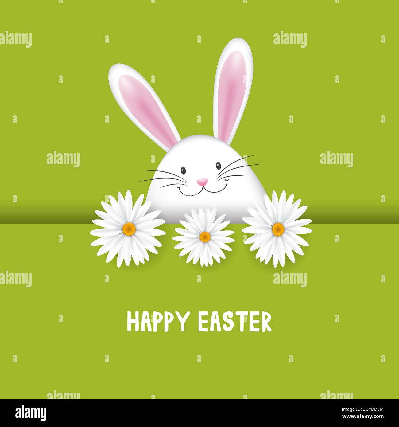 Easter background with cute bunny and daisies Stock Photo - Alamy