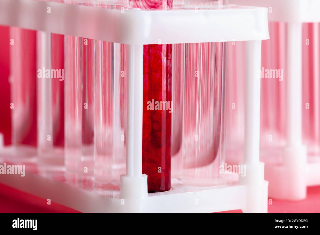 Test flasks with color samples on light grey background Stock Photo - Alamy