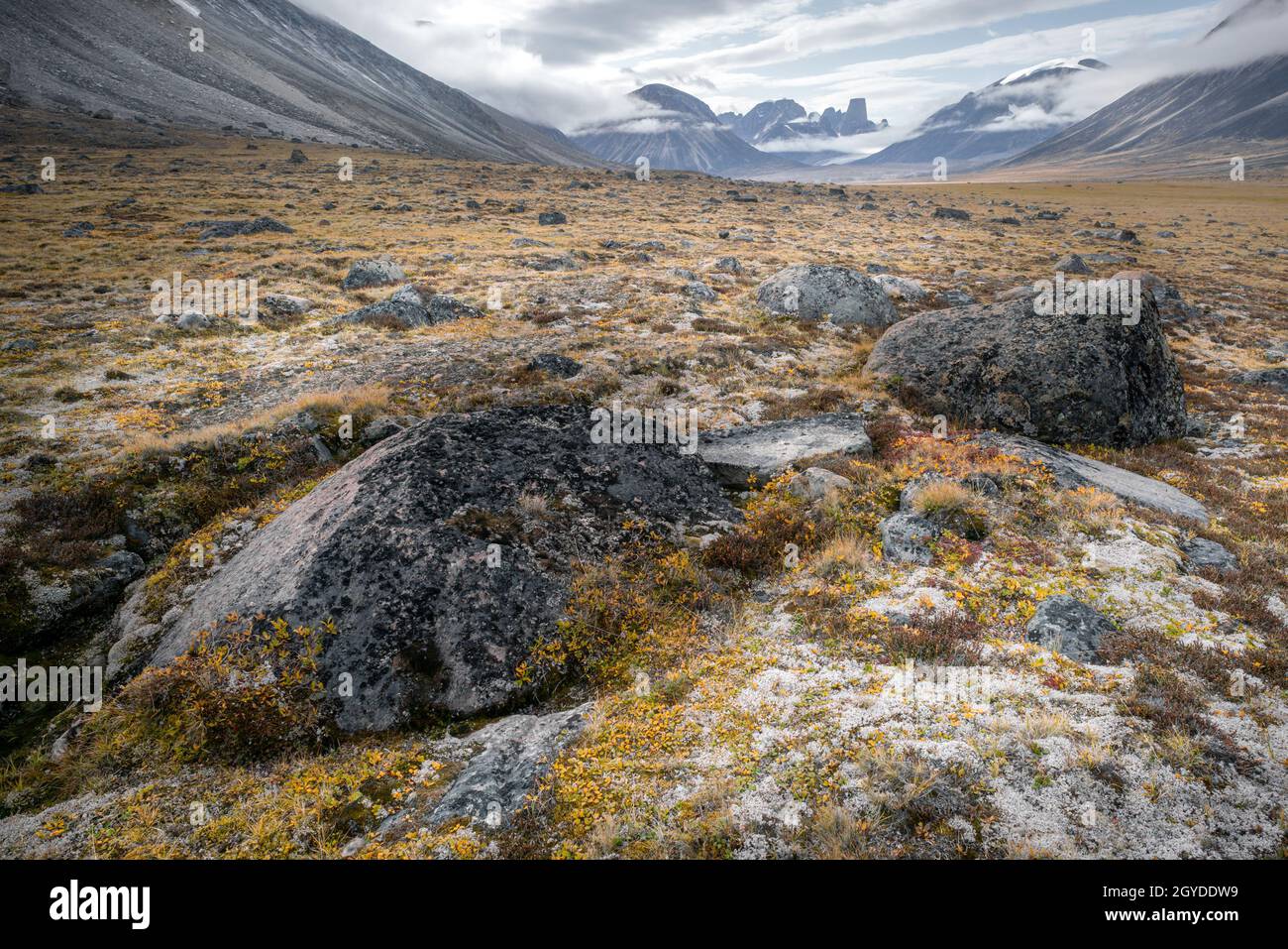 Cloudy day in the wild, remote arctic valley of Akshayuk Pass, Baffin ...