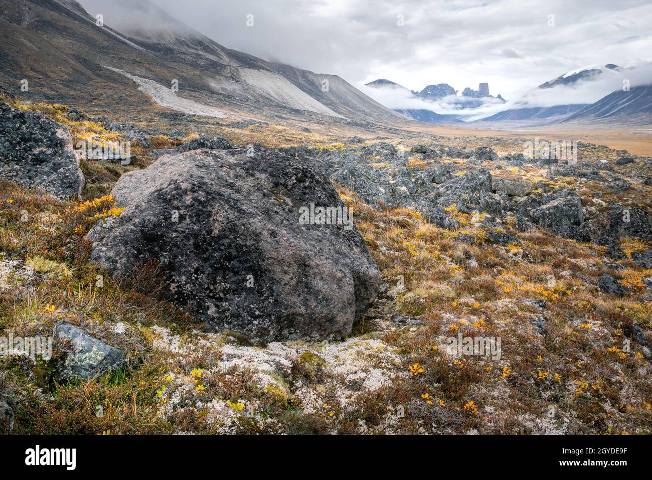 Cloudy day in the wild, remote arctic valley of Akshayuk Pass, Baffin ...