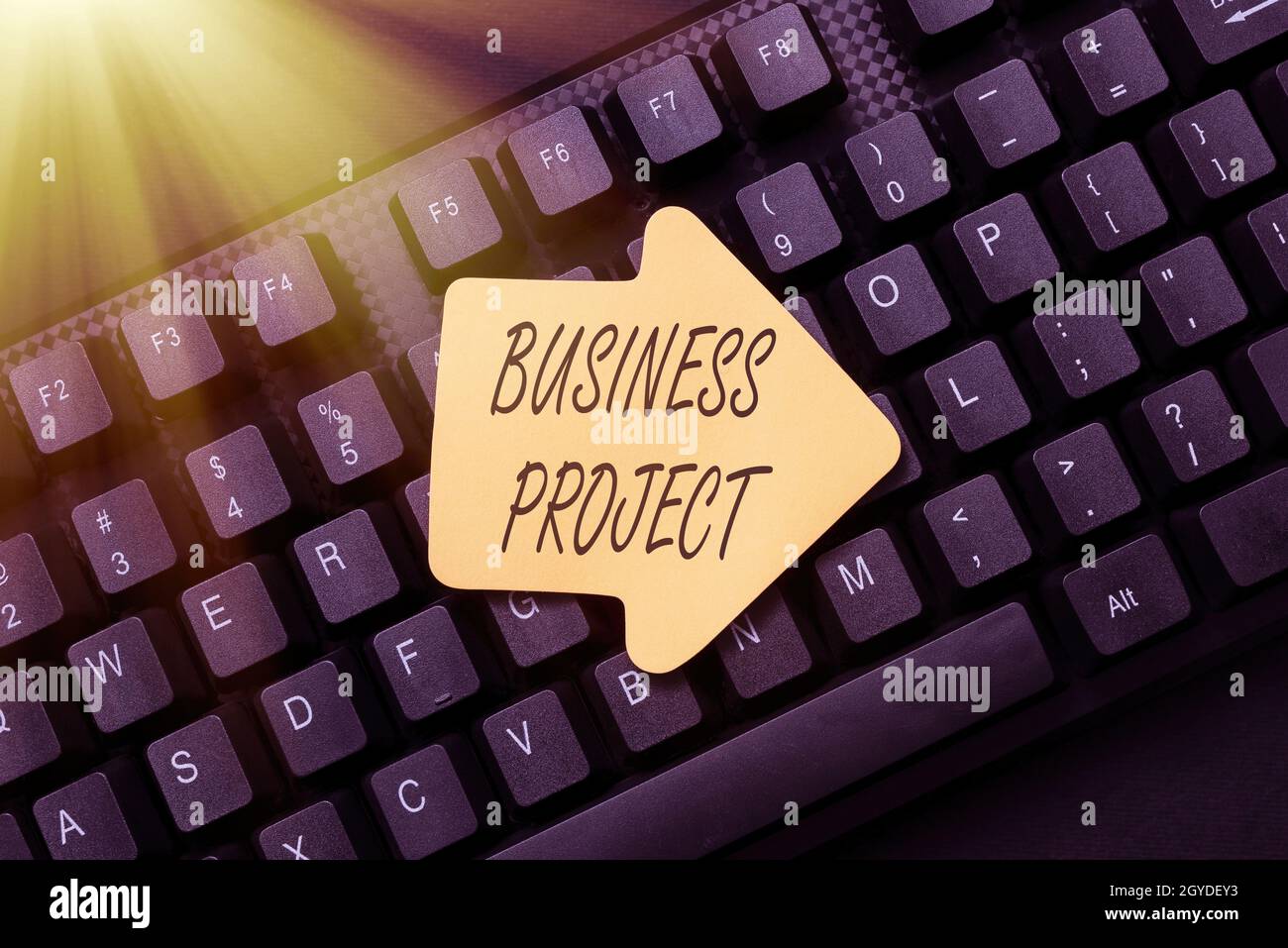 Sign displaying Business Project, Business overview Planned set of ...