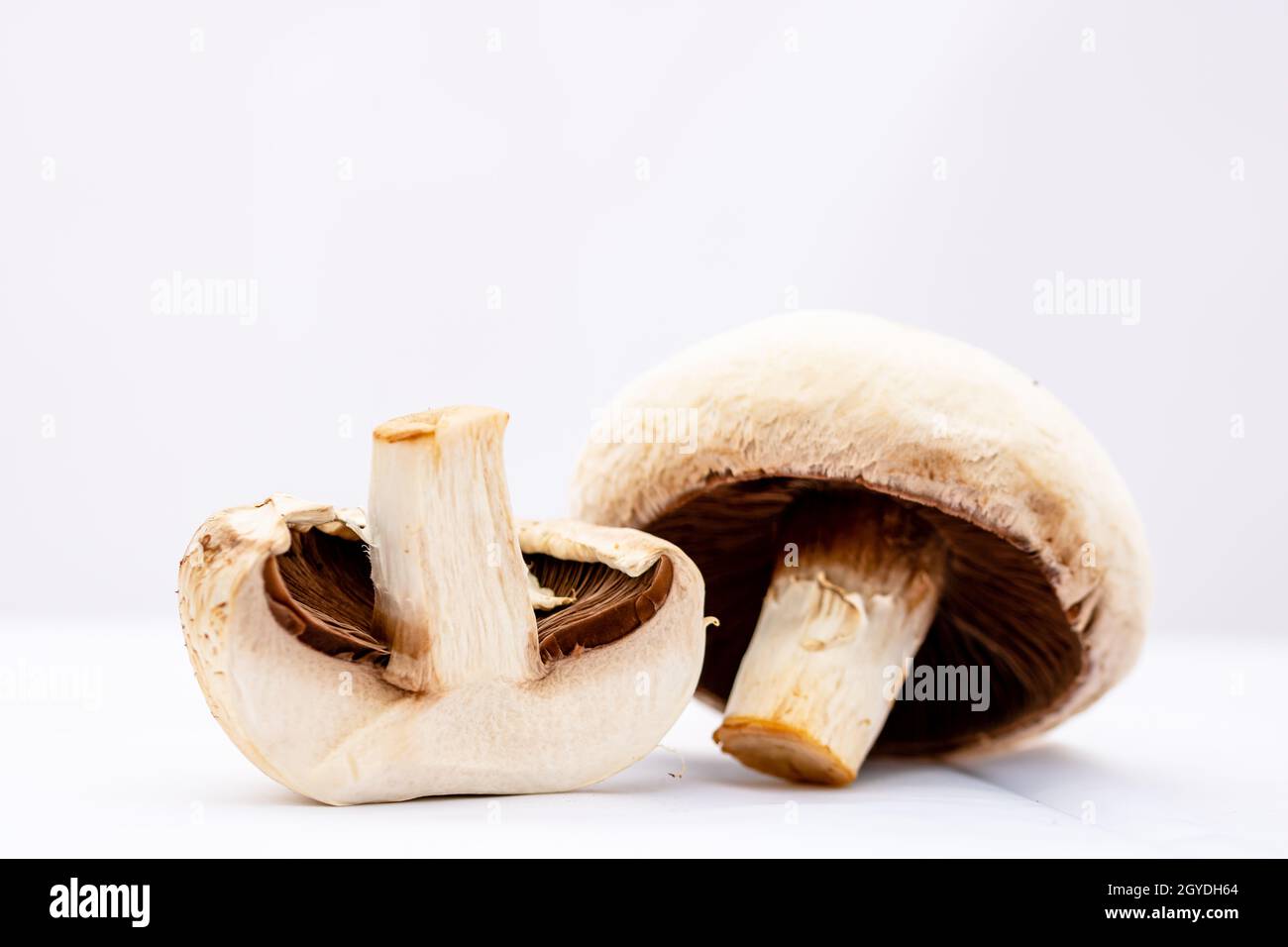 Fresh champignons, champignon mushrooms, close-up, isolated Stock Photo ...