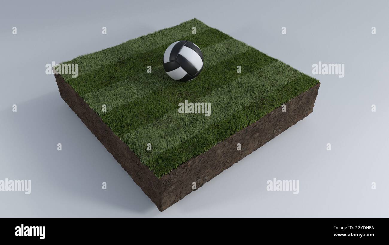 3D Render of Soccer Ball of Grass Patch Stock Photo - Alamy