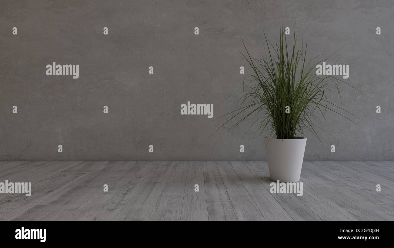 Render of 3D Contemporary Empty Room Stock Photo - Alamy