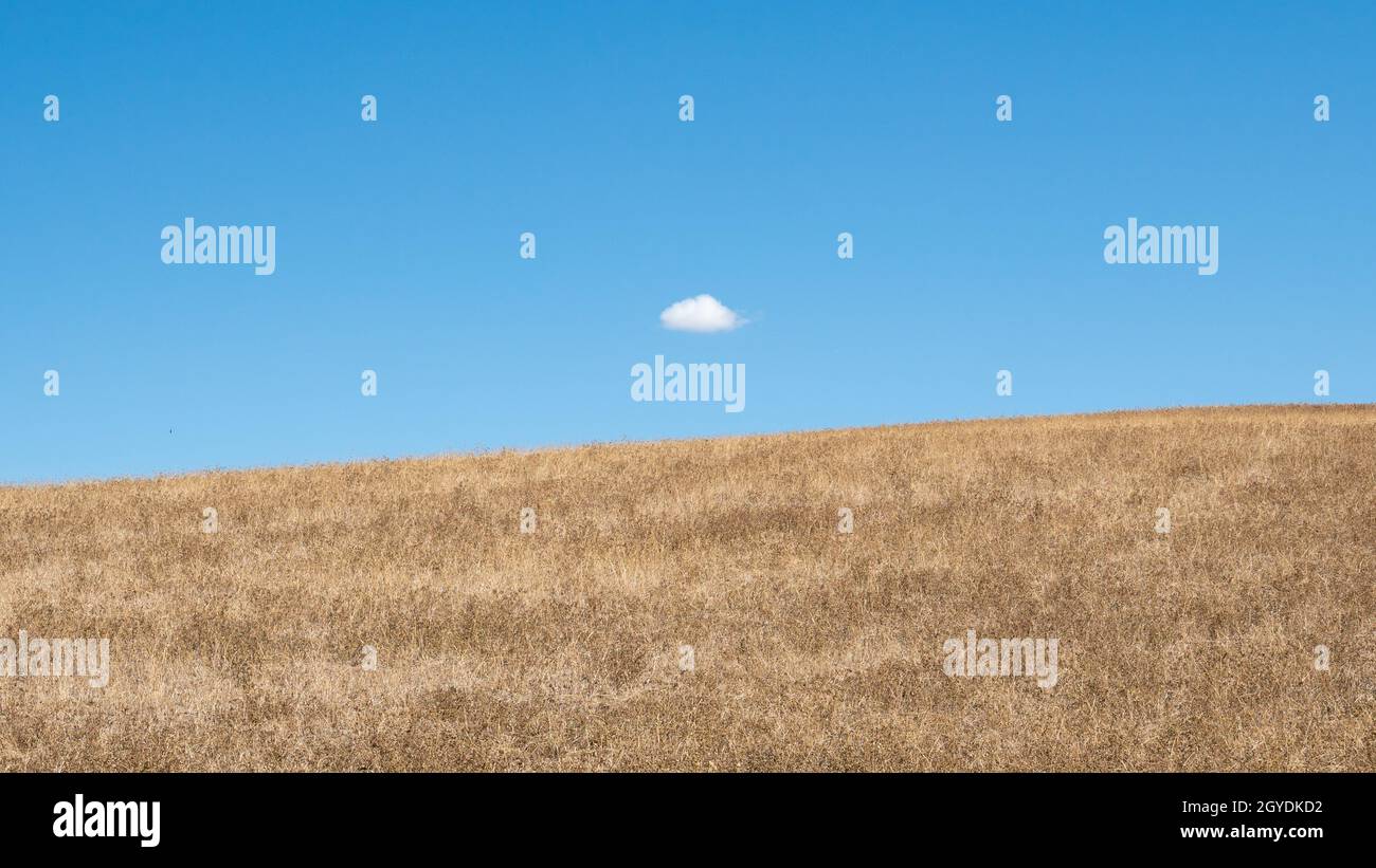 View of an empty field under the bright blue sky with a piece of cloud ...