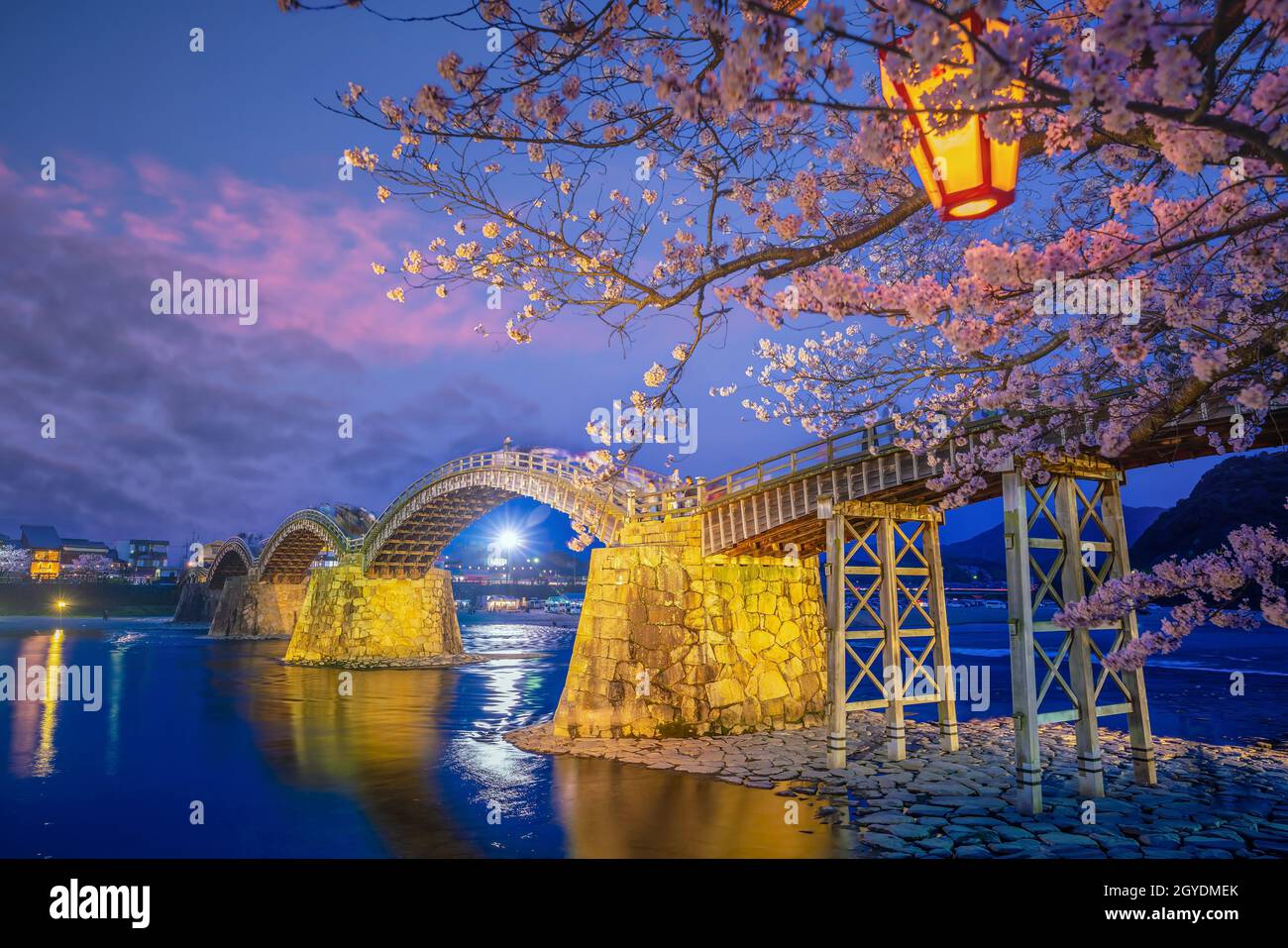 Kintaikyo Bridge in Iwakuni, Japan at sunset with cherry blossom Stock ...