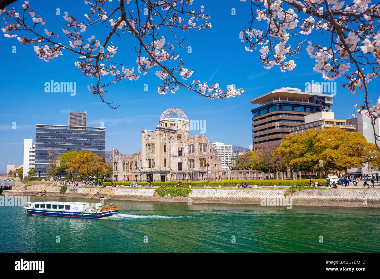 View of the atomic bomb dome in Hiroshima Japan. UNESCO World Heritage Site with cherry blossom ...