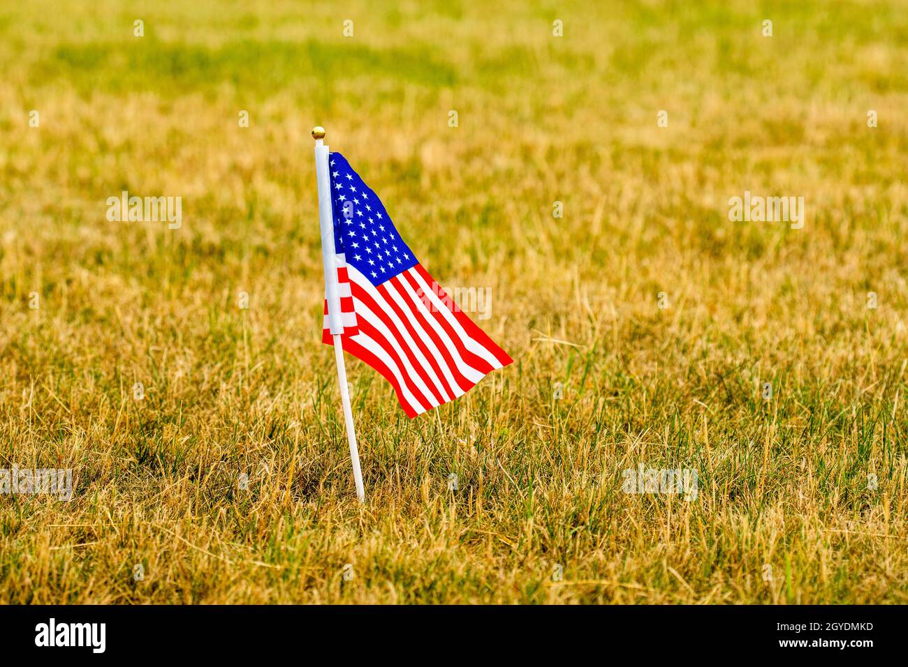 Small American flag on grass lawn. Memorial day US flags. Labor day ...