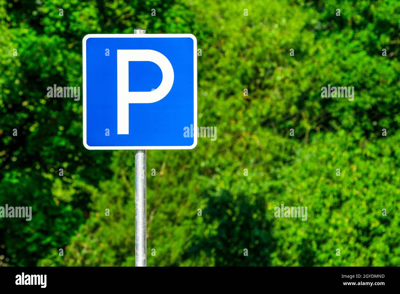 Blue parking sign on natural green background Stock Photo - Alamy