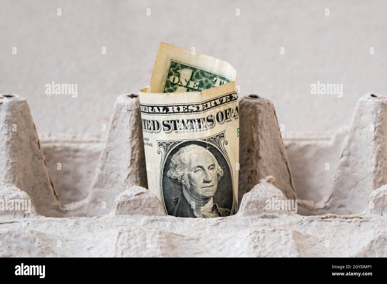 One dollar in an egg cardboard box. Conceptual image Stock Photo - Alamy