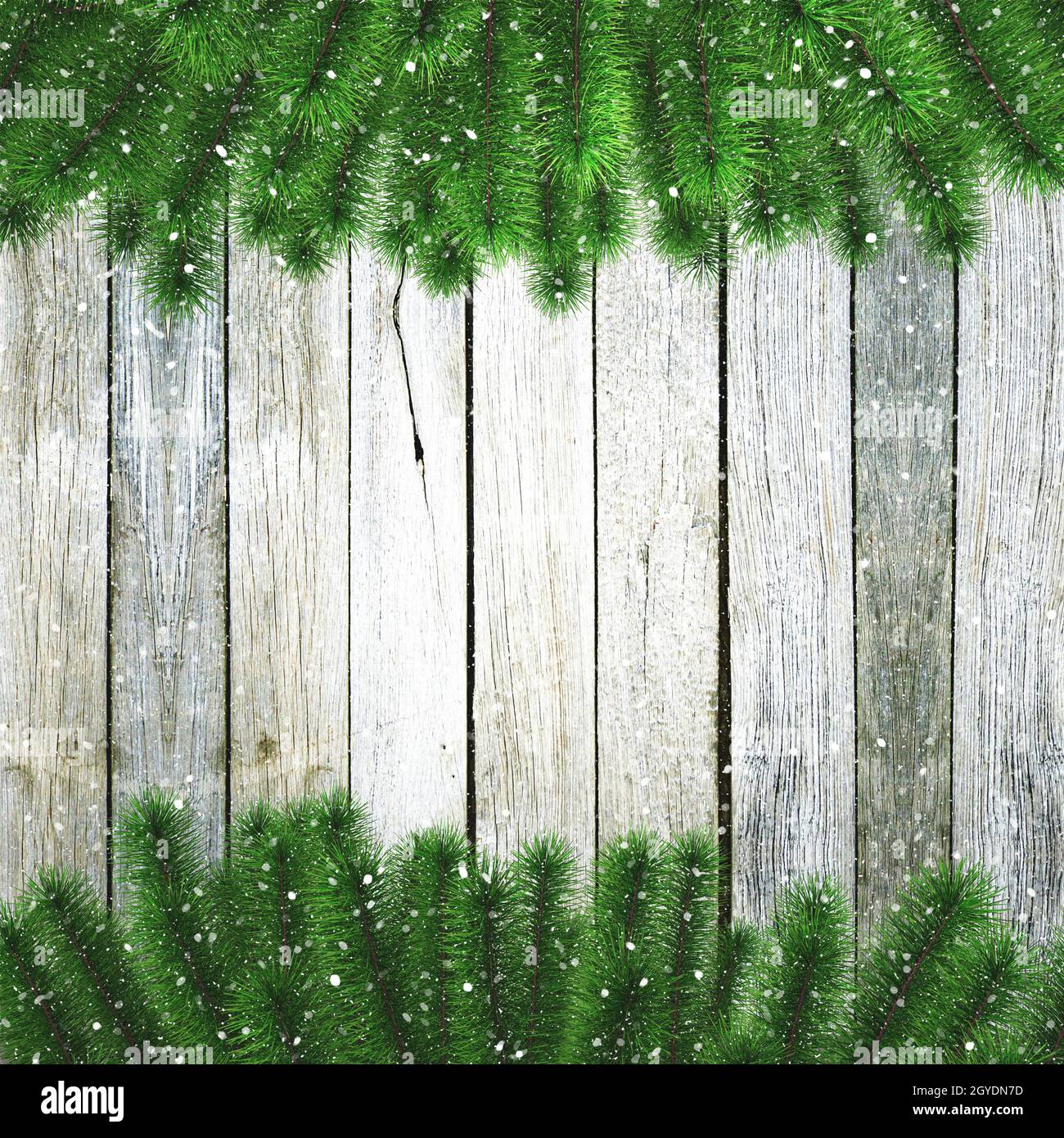 3D render of Christmas tree branches with snow on a wooden texture ...