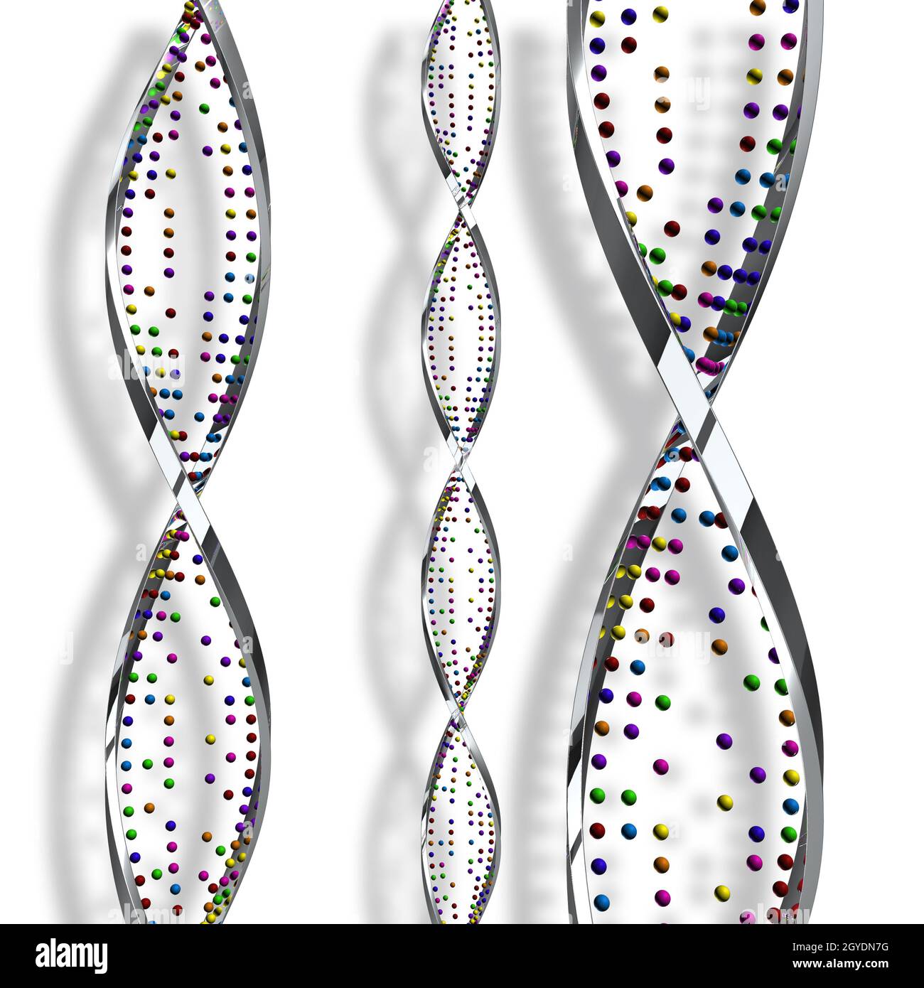 3D render of DNA strands on a white background Stock Photo - Alamy