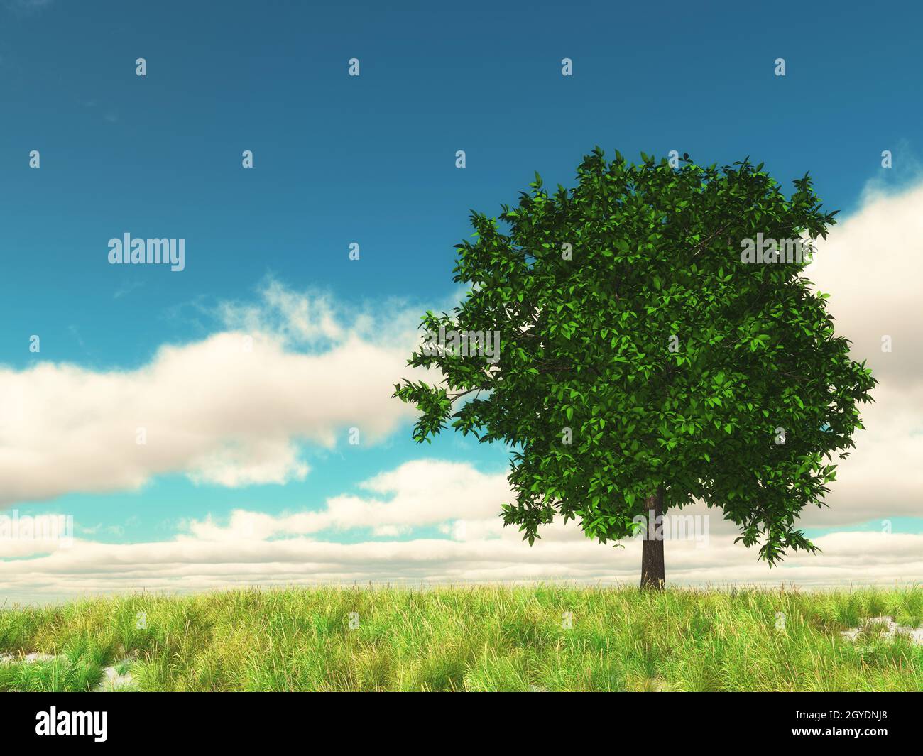 3D render of a countryside landscape with tree against blue sky Stock ...