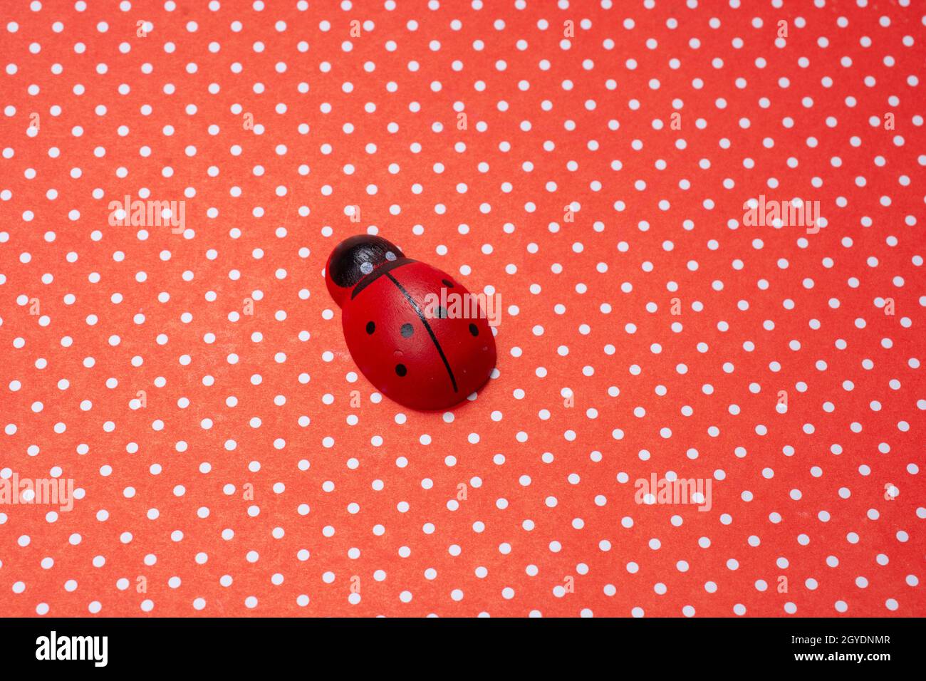 Dot bug hi-res stock photography and images - Alamy