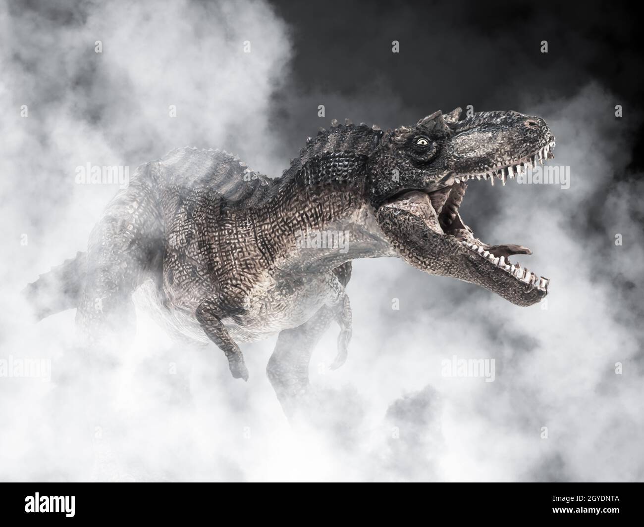 Gorgosaurus Dinosaur on smoke background Stock Photo - Alamy