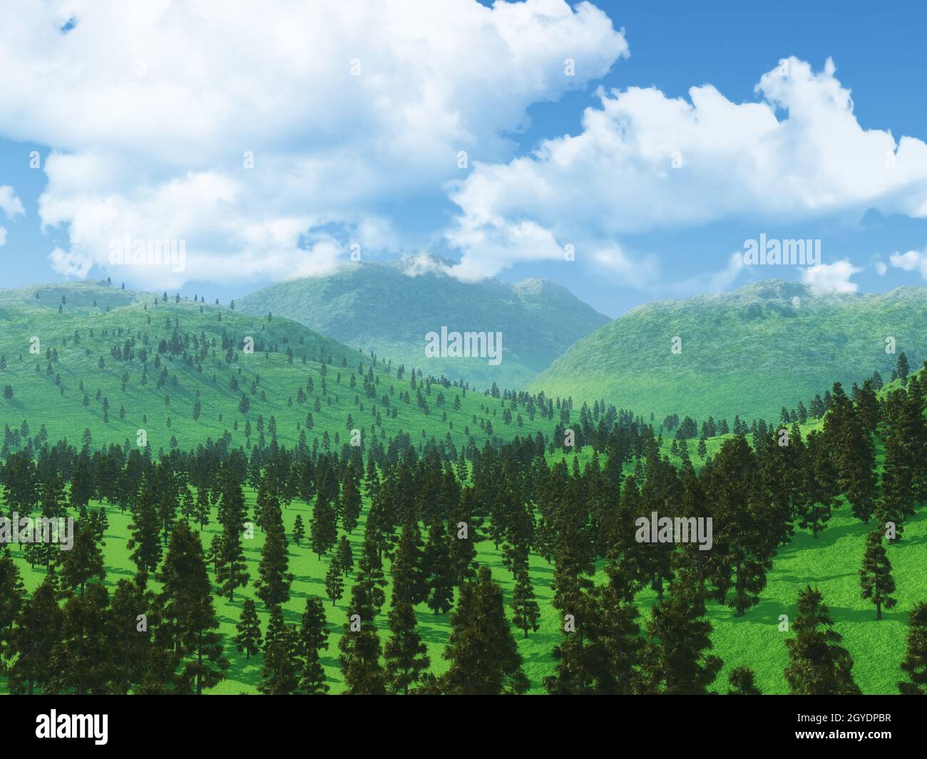 3D render of a forest landscape with low clouds Stock Photo - Alamy
