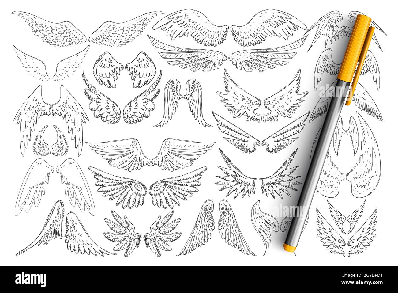 Bird wings patterns doodle set. Collection of hand drawn elegant wings ...