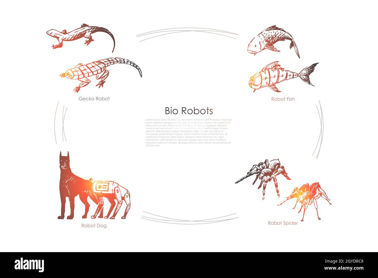 Bio robots - robot fish, dog, spider and gecko vector concept set. Hand ...