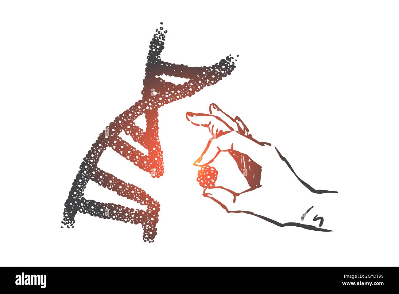 Genetic engineering science concept sketch. Gene manipulation and ...