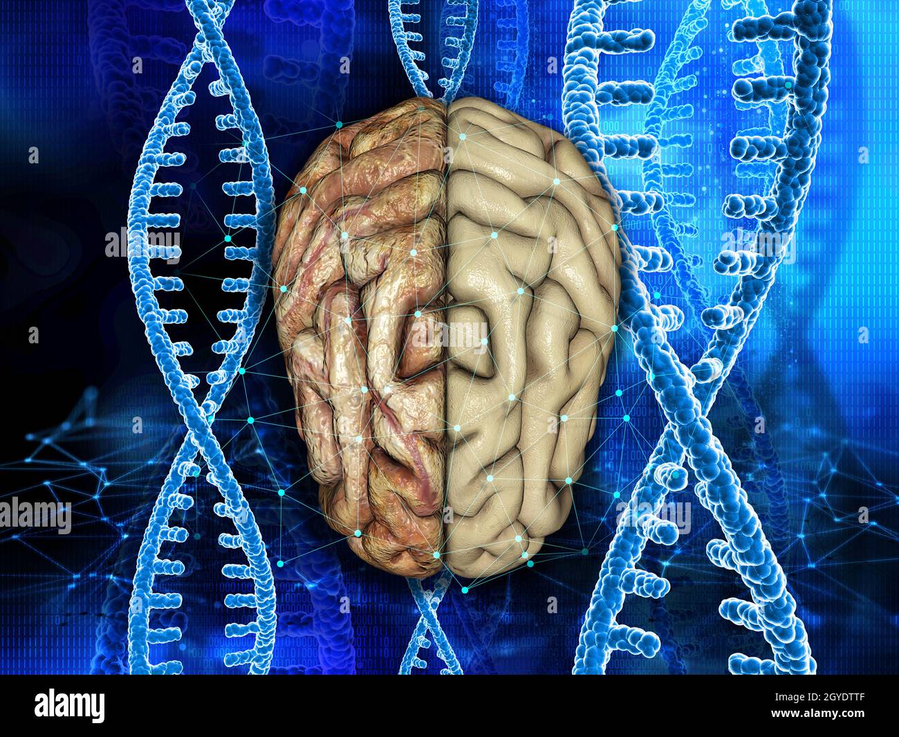 3D render of a medical background with healthy and unhealthy brain on ...