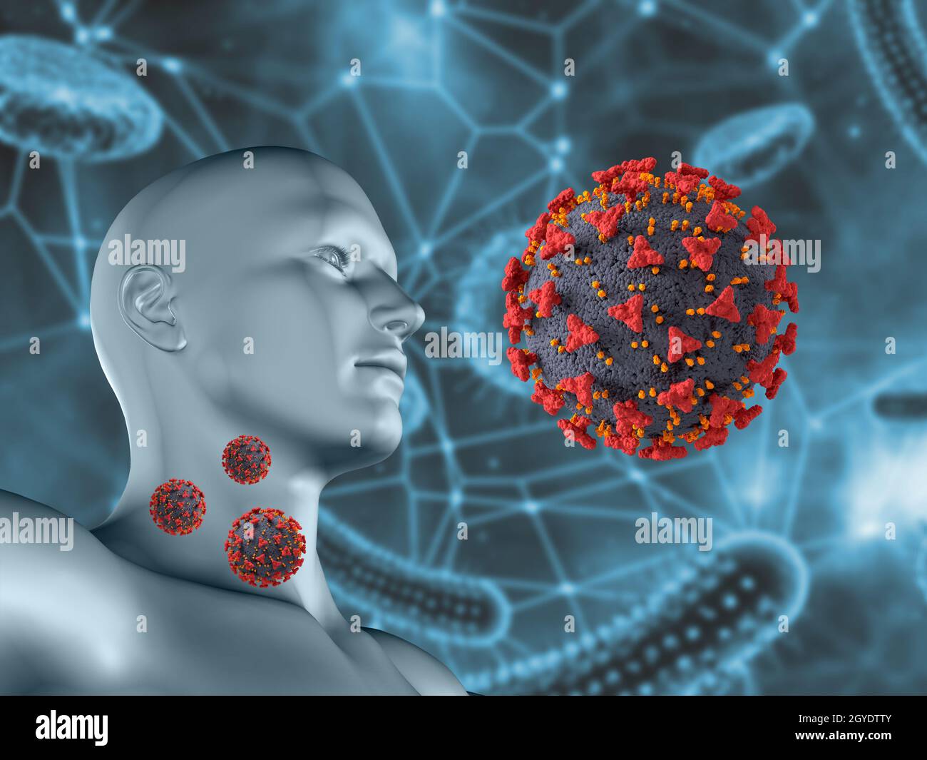 3D render of a medical background with male figure and detailed Corona ...