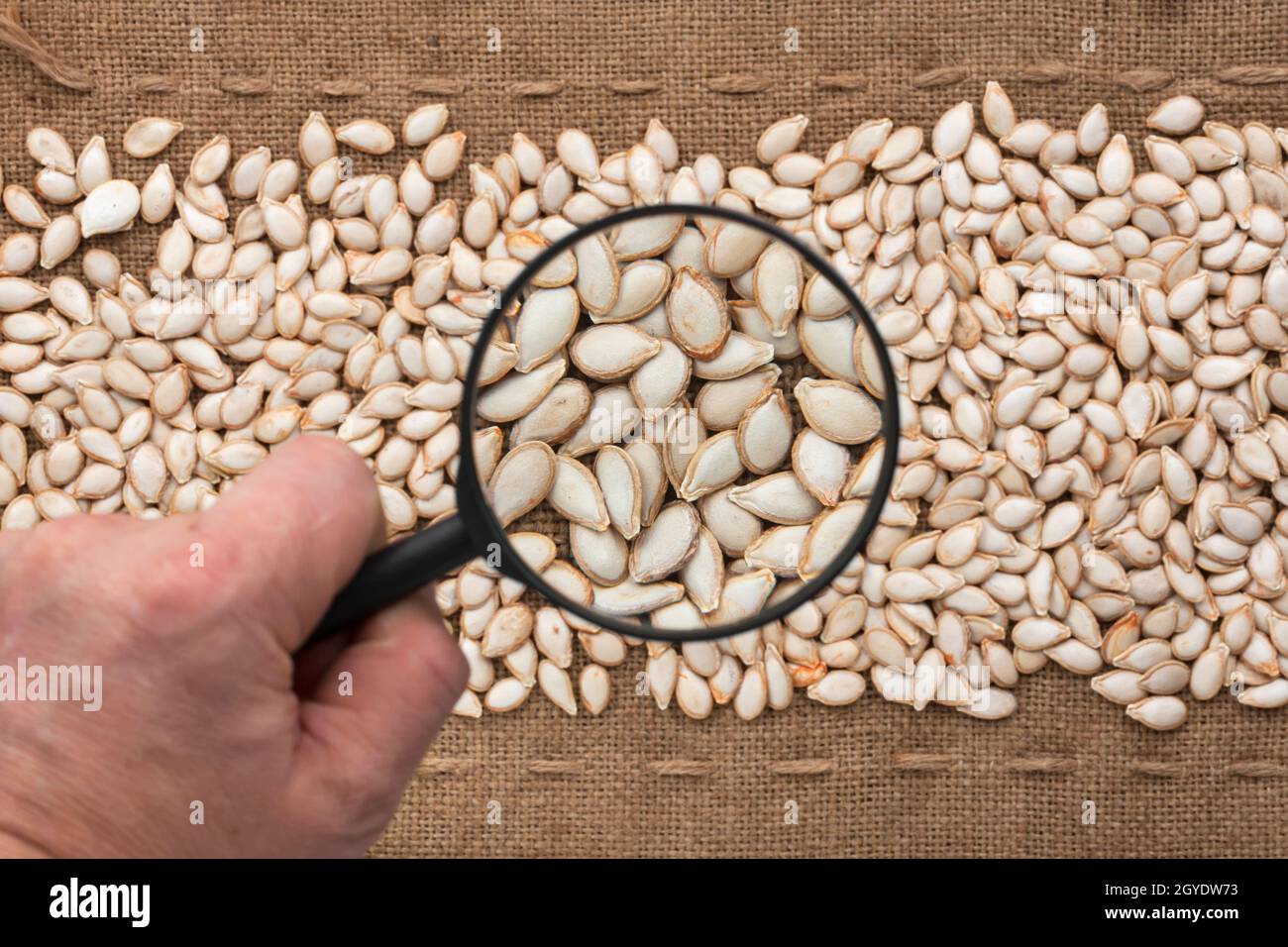 Nutrition magnifying glass hi-res stock photography and images - Alamy