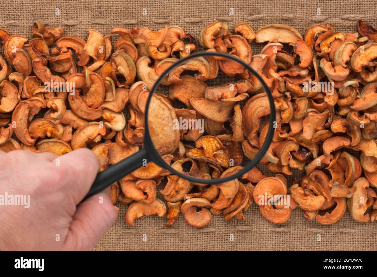 Nutrition magnifying glass hi-res stock photography and images - Alamy