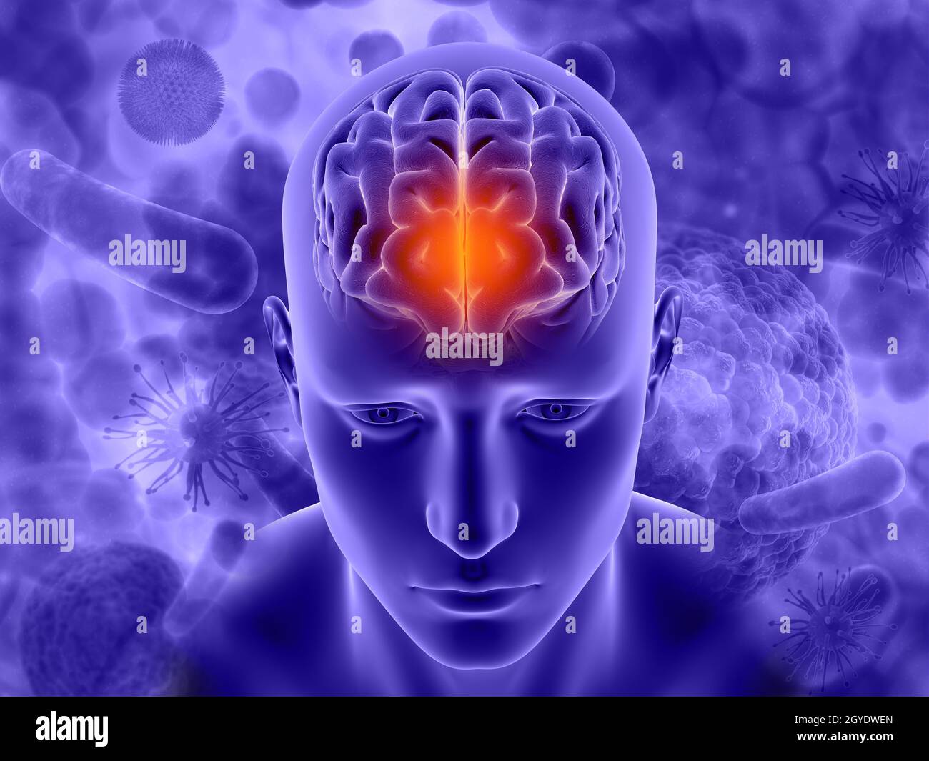 3D render of a medical image with male figure with brain highlighted on ...