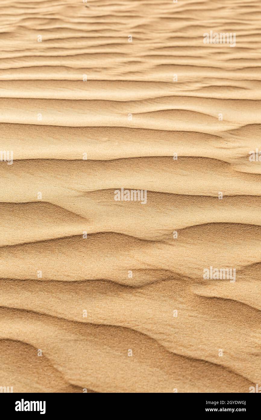 Dubai desert sand in United Arab Emirates portrait format landscape ...