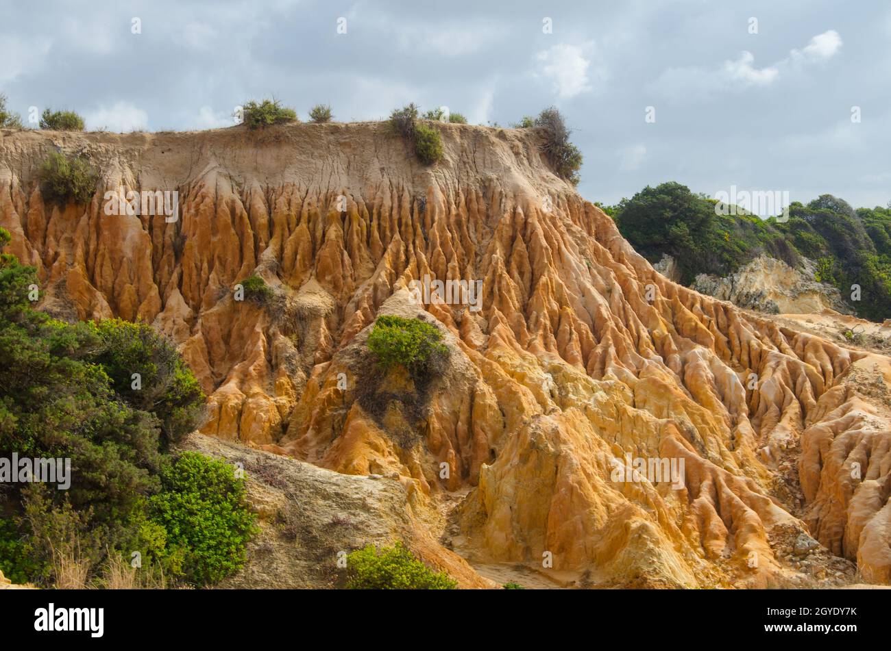 Eroded limestone gorge in Algarve, Portugal Stock Photo - Alamy