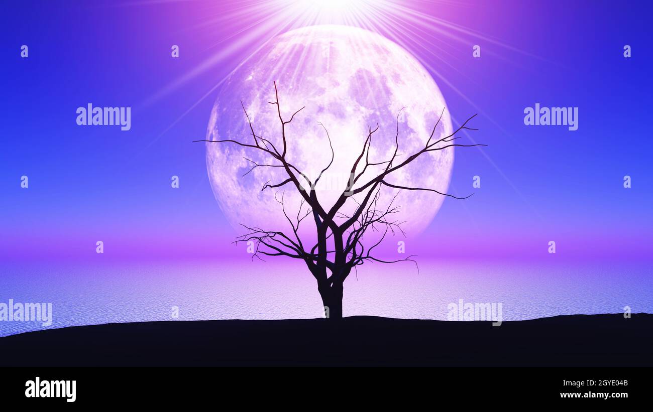 3D render of an old gnarly tree against a moonlit landscape Stock Photo ...