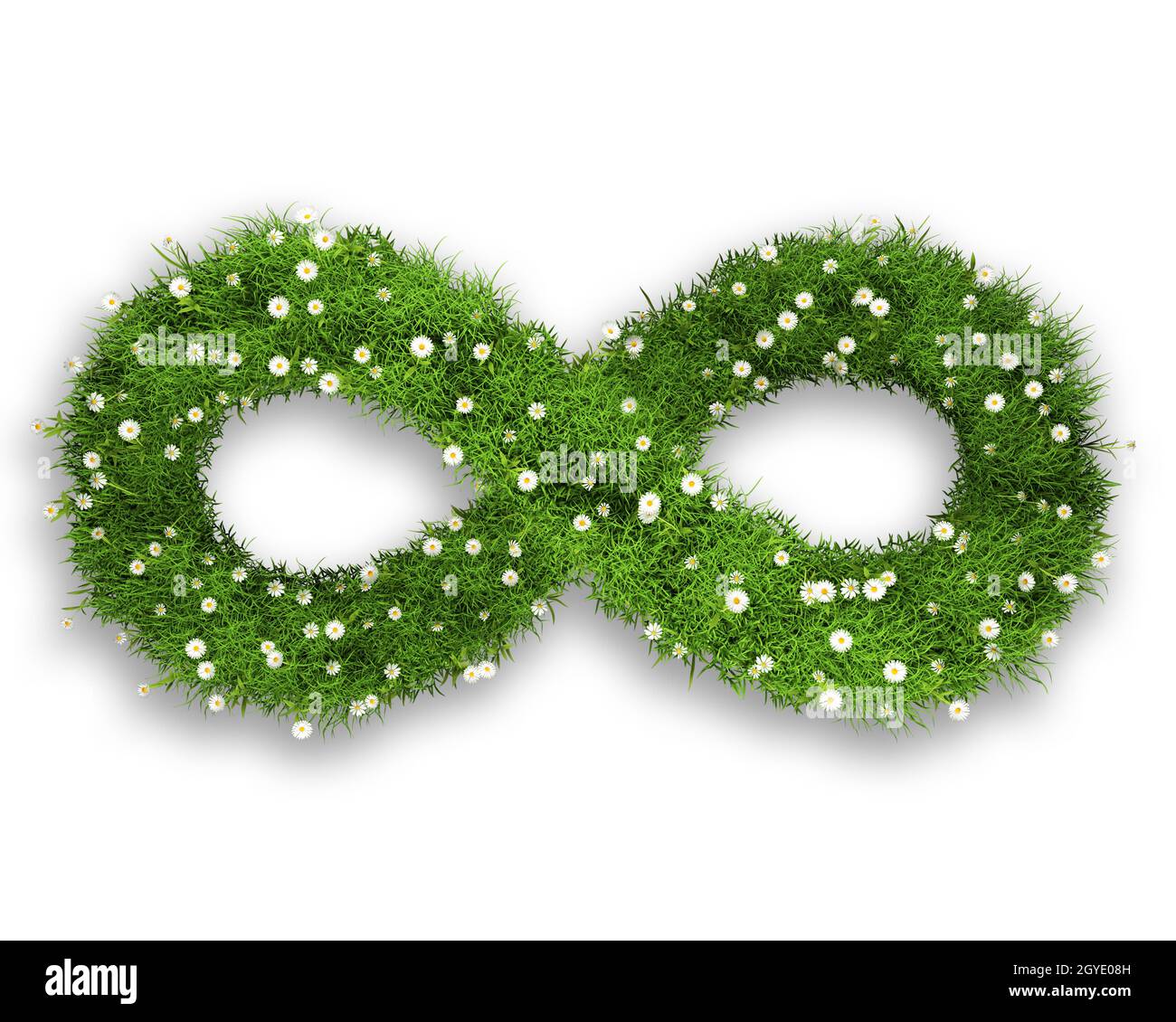 3D render of grass and daisies in an infinity symbol shape Stock Photo ...